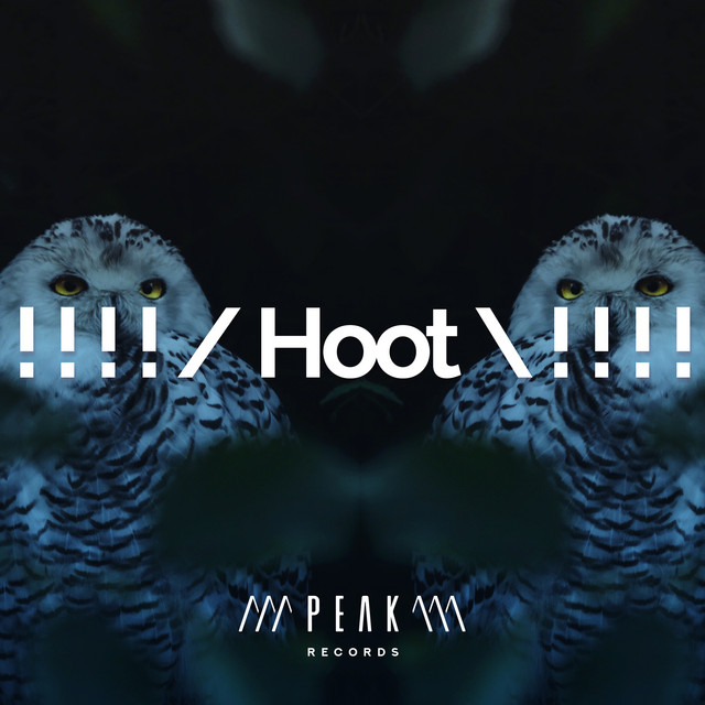 Hoot \ ! ! ! ! - Album by Binaural Sleep Collective | Spotify