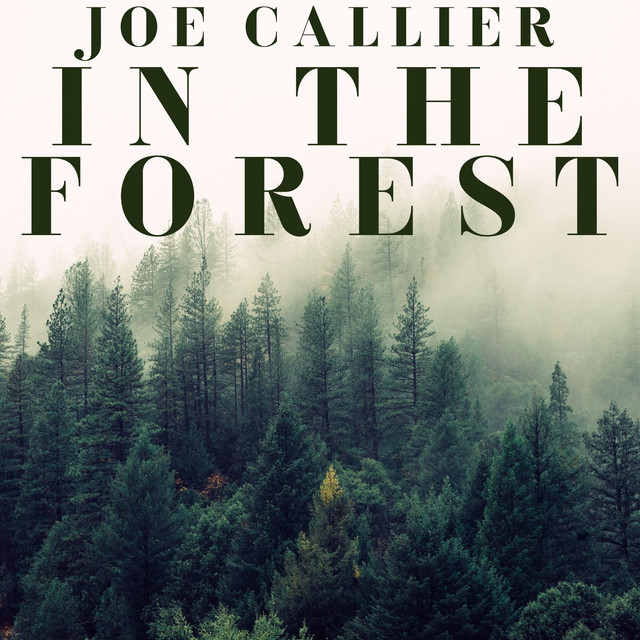 In the Forest - Album by Joe Callier | Spotify