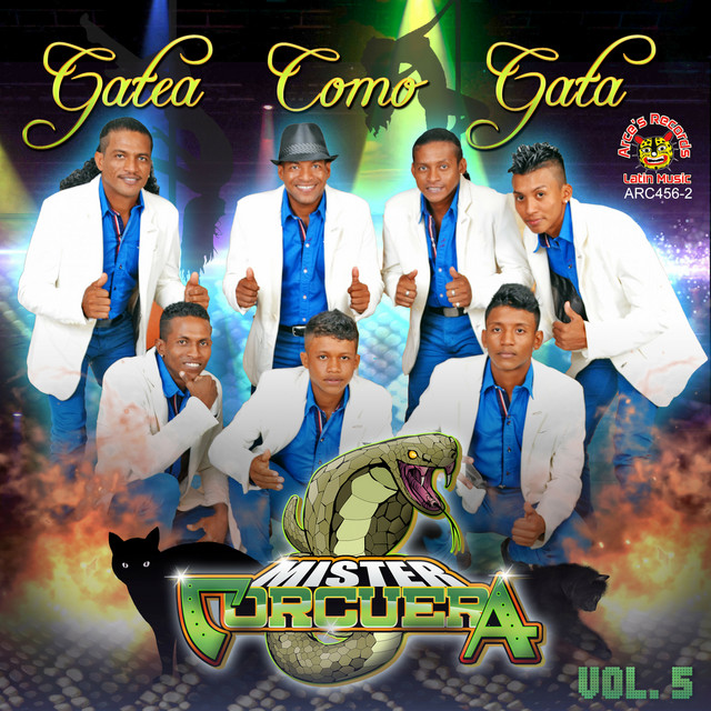 Mister Corcuera: Songs list, analysis and similar artists - Chosic