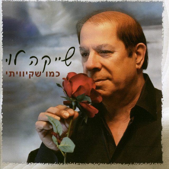 כמו שקיוויתי - song and lyrics by Shaike Levi | Spotify