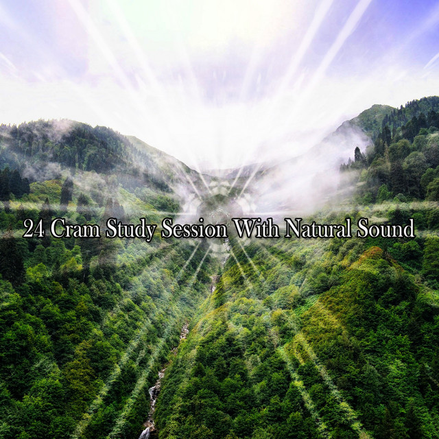 24 Cram Study Session With Natural Sound - Album by Nature Sounds for ...