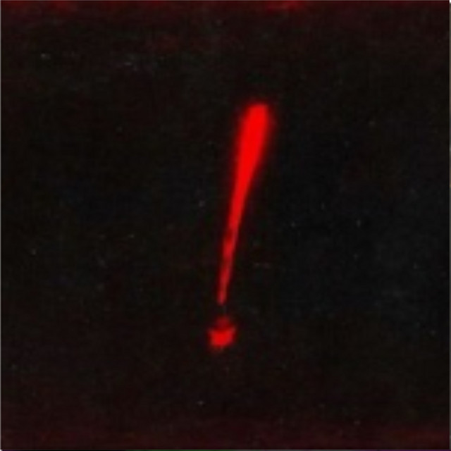 Blaq combo and ot3 clyde - Single by Blunt Boy Scott | Spotify