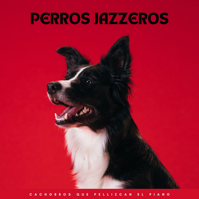 Perros Jazzeros: Cachorros Que Pellizcan El Piano - Album by Romance de ...