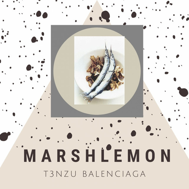 T3NZU Balenciaga - Single by Marshlemon | Spotify