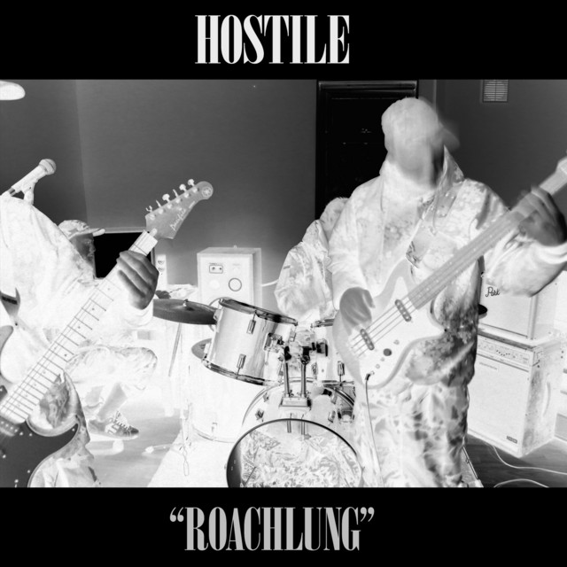 Into the Blood - song and lyrics by Hostile | Spotify
