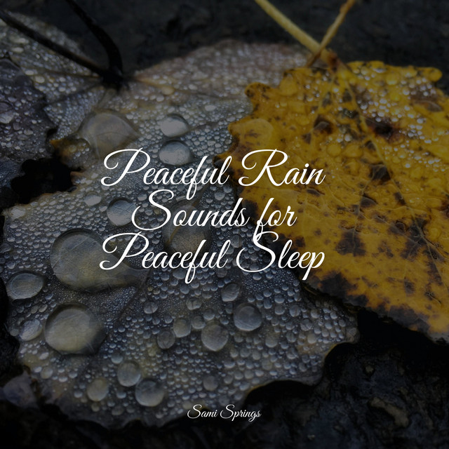 Peaceful Rain Sounds for Peaceful Sleep - Album by The Relaxation ...