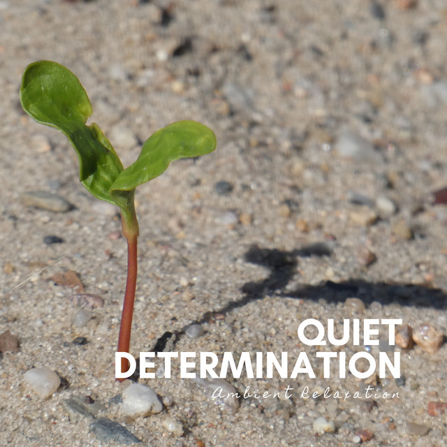 Quiet Determination - Single by Ambient Relaxation | Spotify