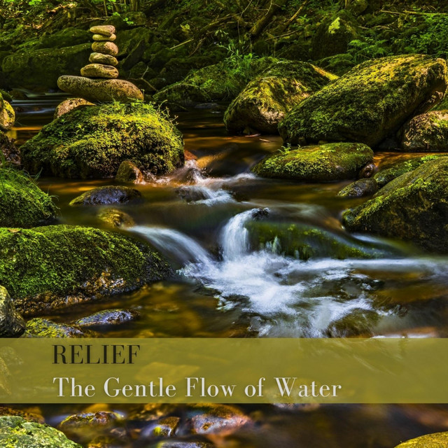 The Gentle Flow of Water - Single by Relief | Spotify