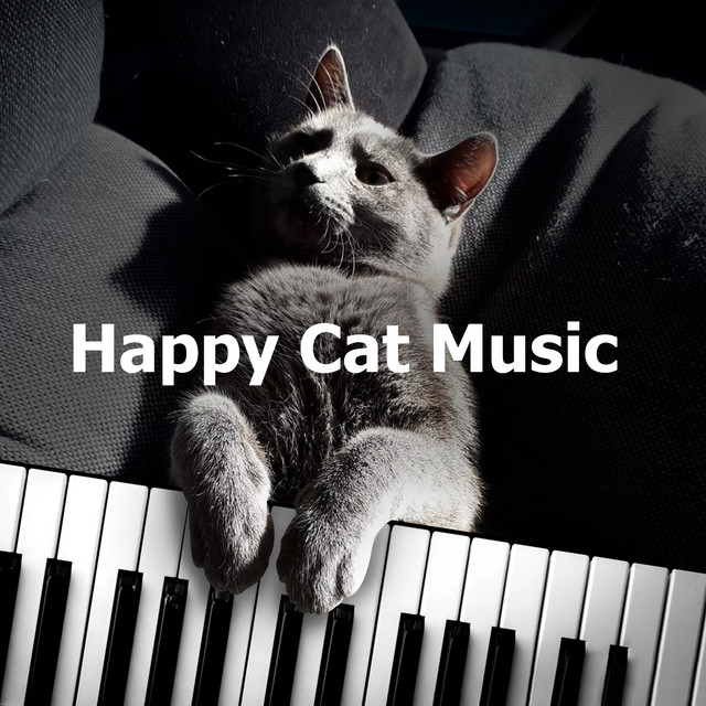 Happy Cat Music - Album by Cat Music | Spotify