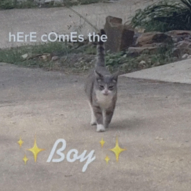 Here Comes The Boy Hello Boy - Remastered - song by First World Citizen ...