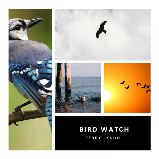 Terry Lydon | Spotify