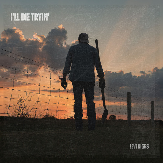 I'LL DIE TRYIN - Single by Levi Riggs | Spotify