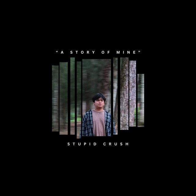 STUPID CRUSH - song and lyrics by Criz Dignos | Spotify