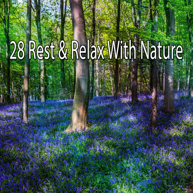 28 Rest & Relax With Nature - Album by Sounds Of Nature | Spotify