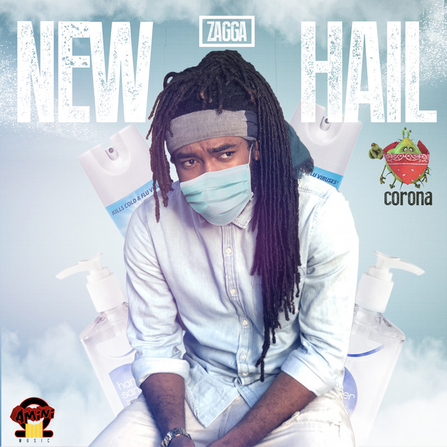 New Hail - Single by Zagga | Spotify
