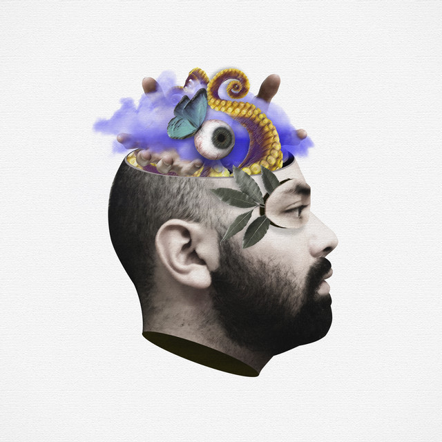 Alexis Hidalgo | Twitter, Instagram, Facebook, TikTok | Linktree