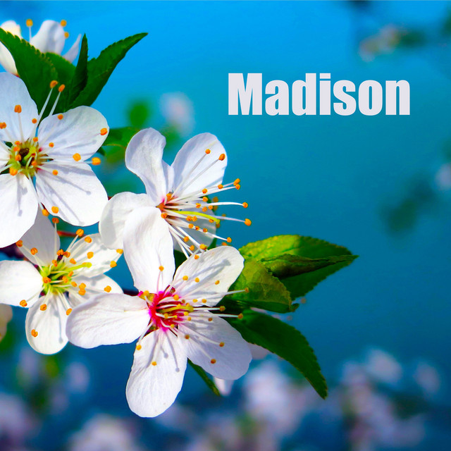 Madison - song and lyrics by Ocb Relax | Spotify