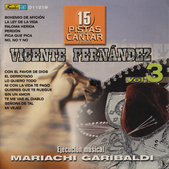 Señora de Tal - Instrumental - song and lyrics by Mariachi Garibaldi ...