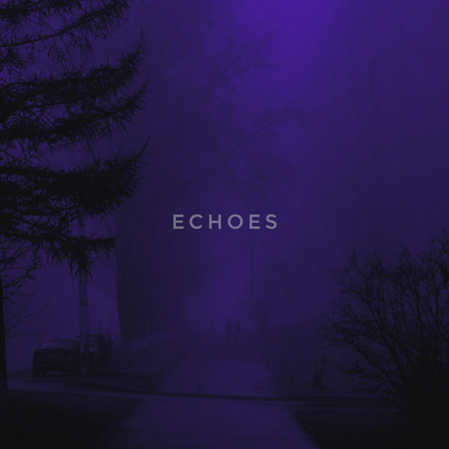 echoes (Remix) - Single by Vilaxxs | Spotify