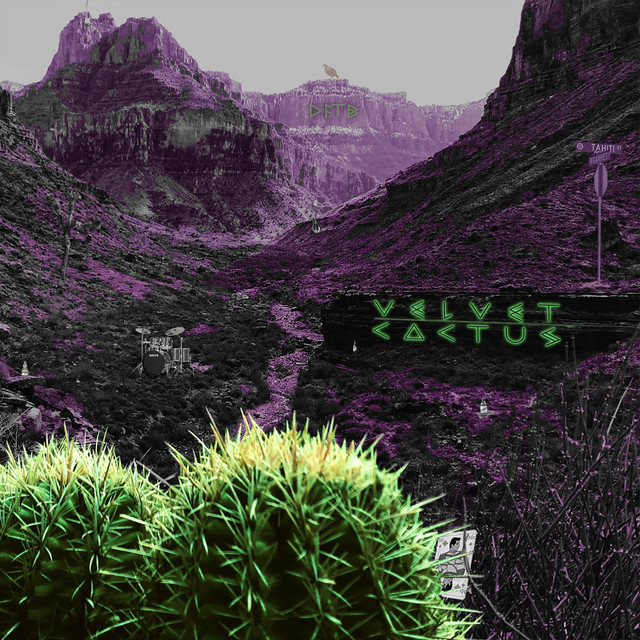 Velvet Cactus - Album by Velvet Cactus | Spotify