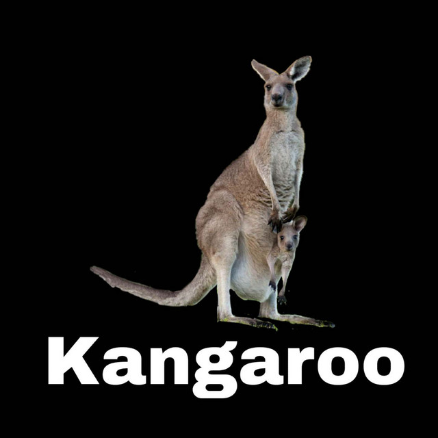 Kangaroo - Single by Duke Newkem | Spotify