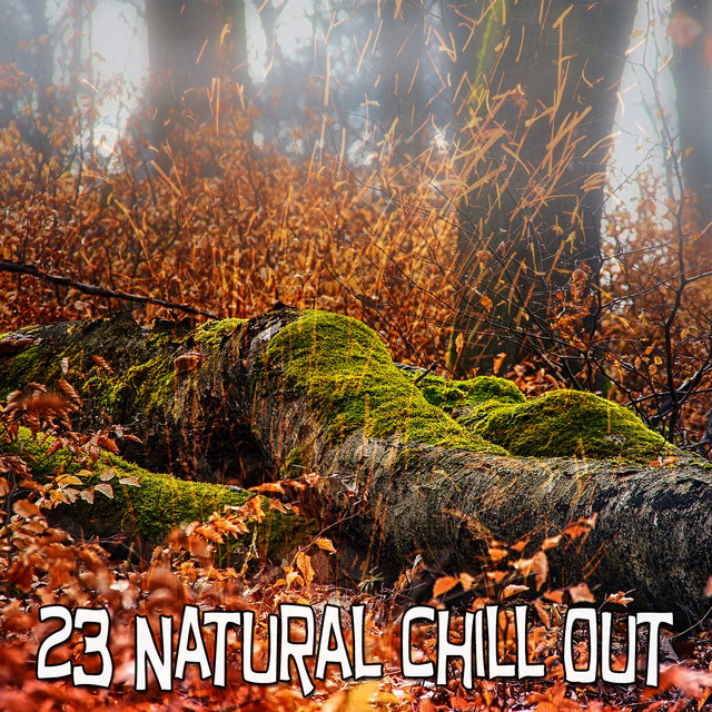 23 Natural Chill Out - Album by Nature Chillout | Spotify