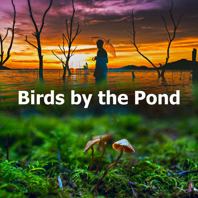 Birds by the Pond - Album by Sonidos de la Naturaleza Relajacion | Spotify