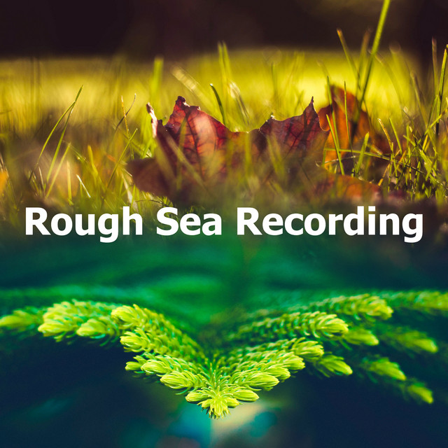 Rough Sea Recording - Album by Relaxing Sounds Of Nature | Spotify