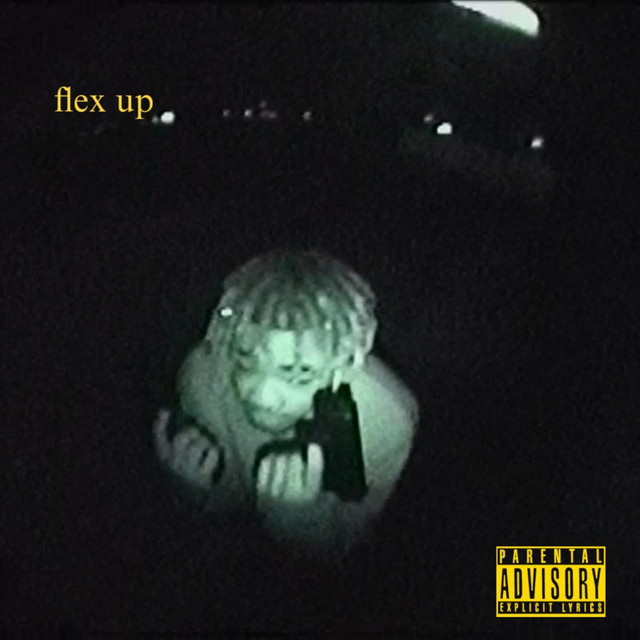 Flex Up - song and lyrics by Amant Okane | Spotify