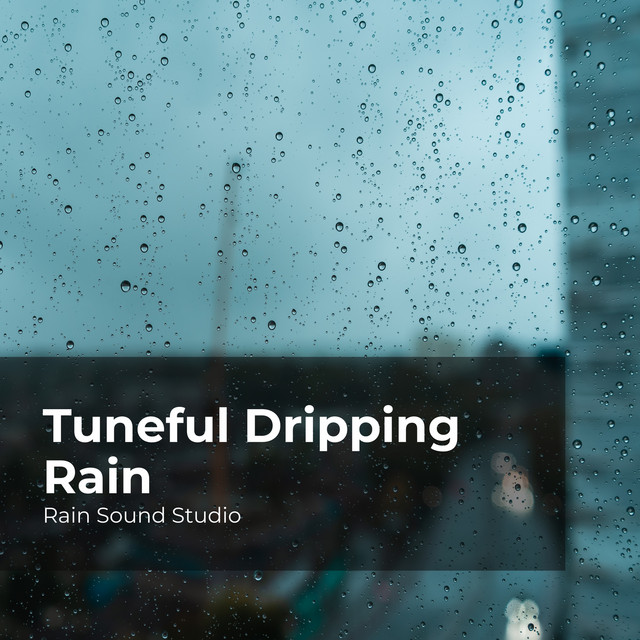 Tuneful Dripping Rain - Album by Rain Sound Studio | Spotify