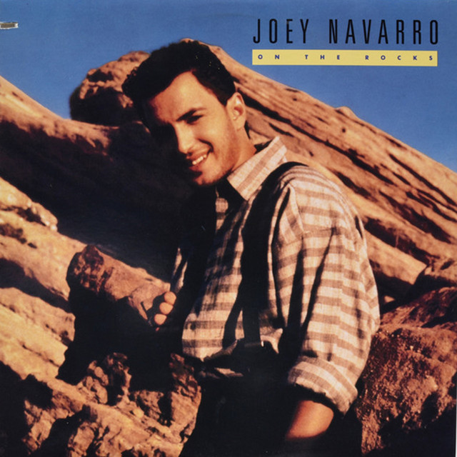 Joey Navarro | Spotify