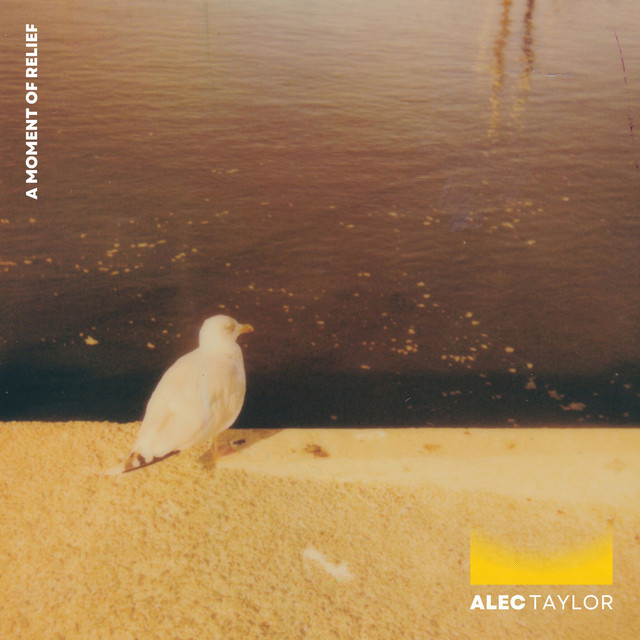 A Moment of Relief - Single by Alec Taylor | Spotify