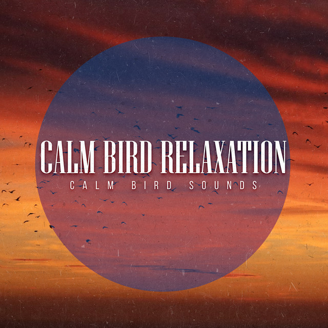 Calm Bird Relaxation - Album de Calm Bird Sounds | Spotify