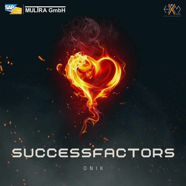 SuccessFactors - song and lyrics by ONIK | Spotify