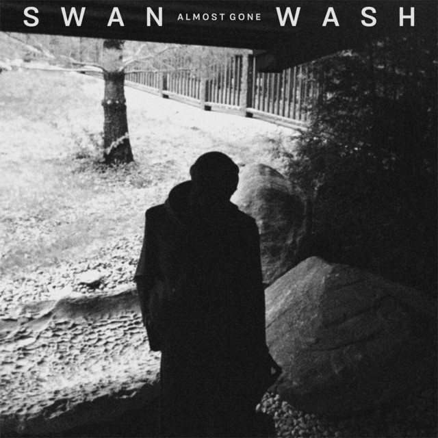 Almost Gone - Single by Swan Wash | Spotify