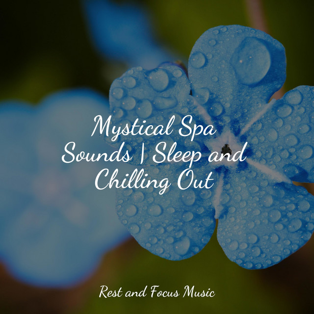 Moondrop Dances - song and lyrics by Deep Sleep Systems, The Relaxation ...