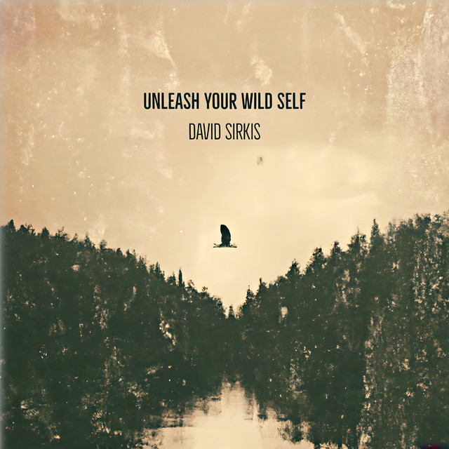 Unleash Your Wild Self - Single by David Sirkis | Spotify