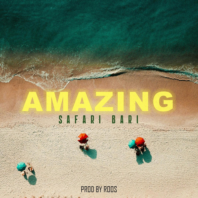 AMAZING - Single by Safari Bari | Spotify