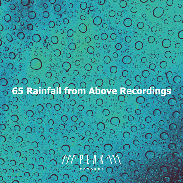 65 Rainfall from Above Recordings - Album by Rainfall | Spotify