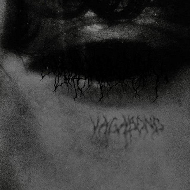 VAGABOND - Album by YDJ | Spotify