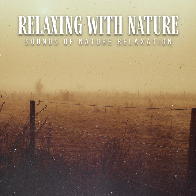 Relaxing with Nature - Album by Sounds of Nature Relaxation | Spotify