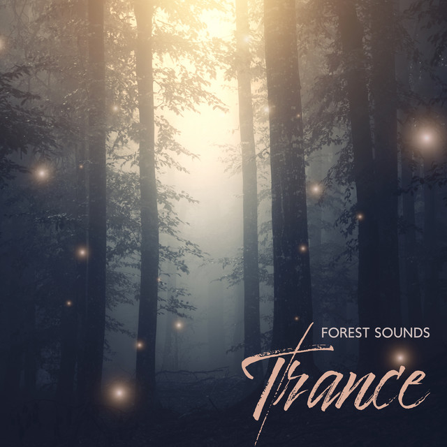 Forest Sounds Trance – Soothing Natural Sounds of Flora and Fauna ...