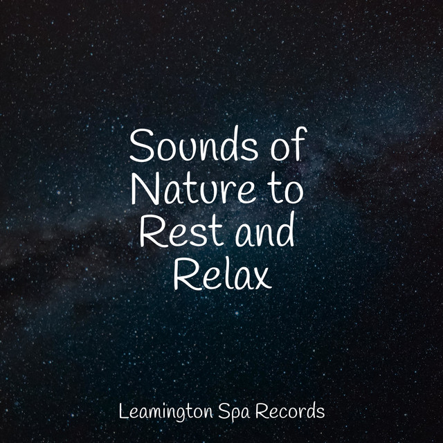 Calm & Comfortable - song and lyrics by Binaural Creations, The Sleep ...
