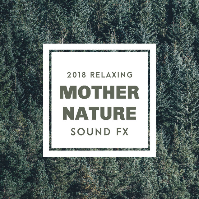 2018Relaxing Mother Nature Sound FX - Album by Mother Nature Sound FX ...