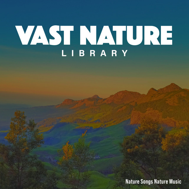 Vast Nature Library - Album by Nature Songs Nature Music | Spotify