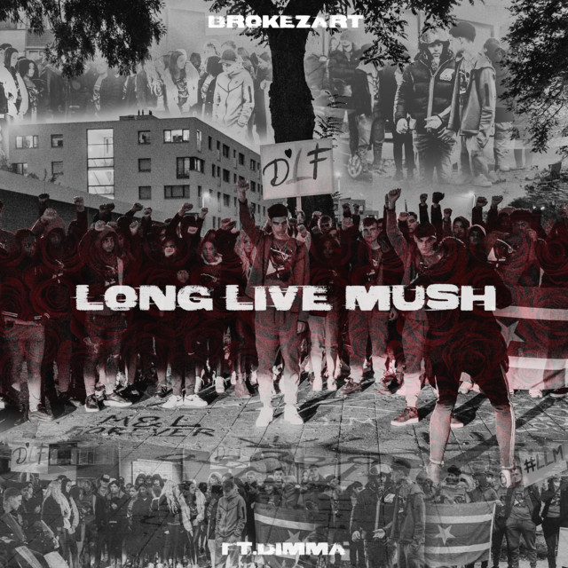 Long Live Mush - song and lyrics by Brokezart, Dimma | Spotify