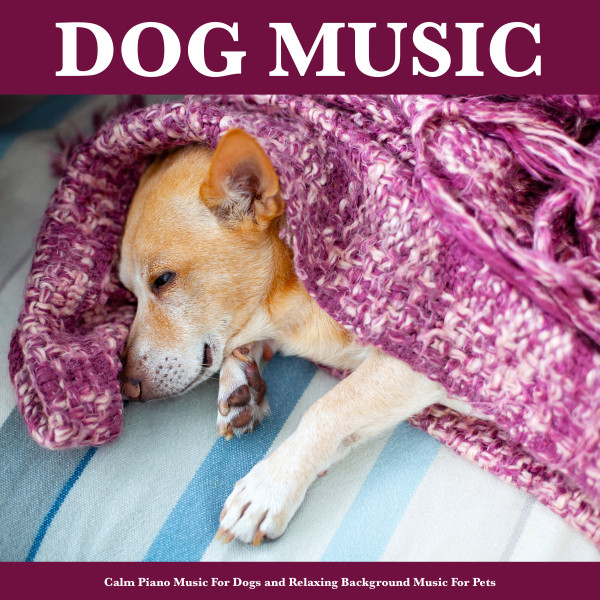 Dog Music: Calm Piano Music For Dogs and Relaxing Background Music For ...