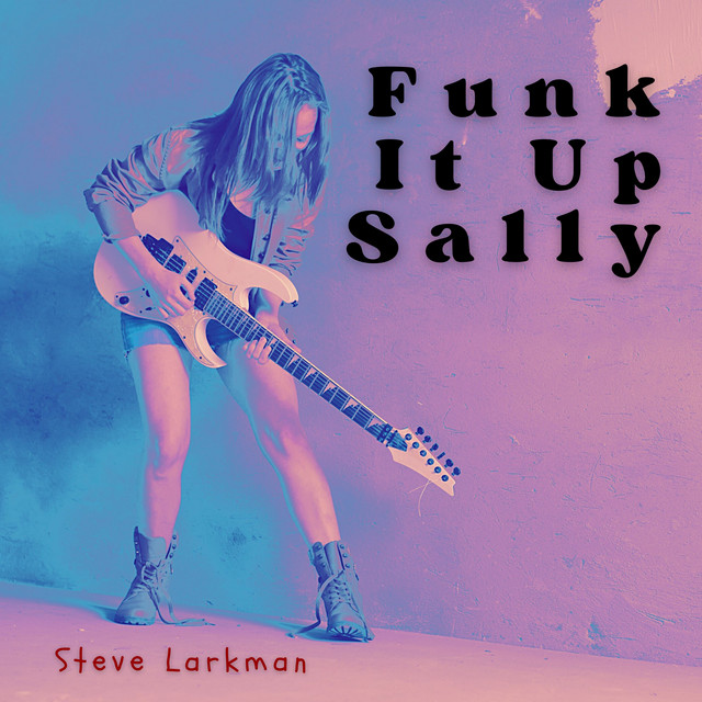Funk It Up Sally - song and lyrics by Steve Larkman | Spotify
