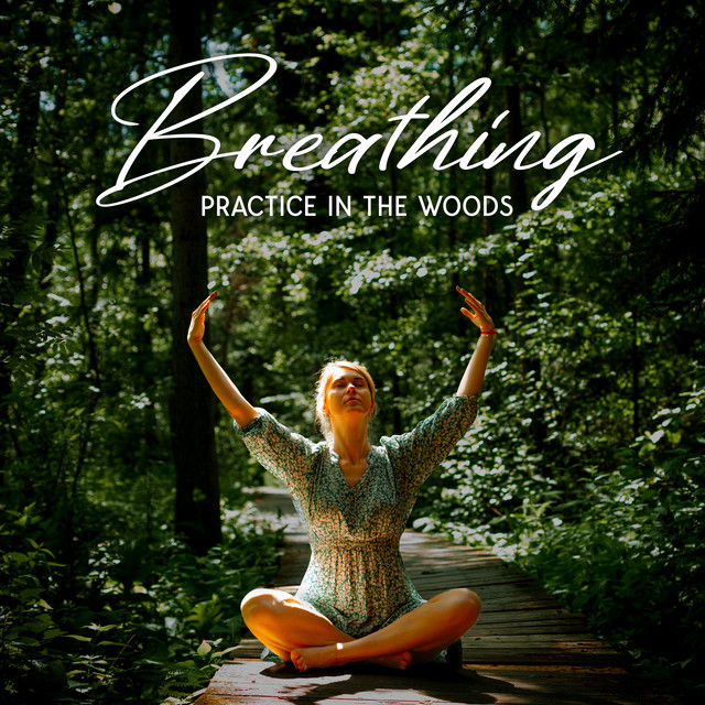 Breathing Practice in the Woods: Handpan Relaxing Music with Forest ...