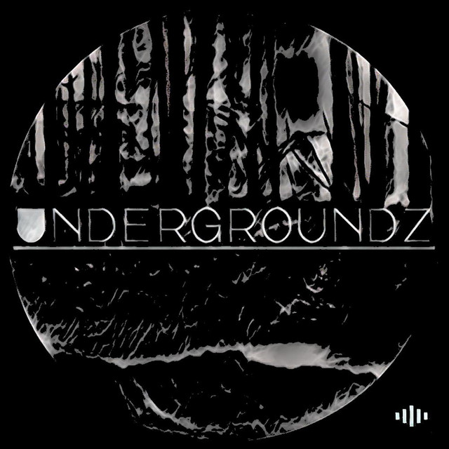 Undergroundz Vol 2 - Compilation by Various Artists | Spotify